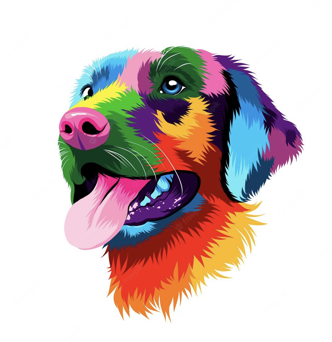 RAINBOW INU (RAINBOW) | Moontok 月兔