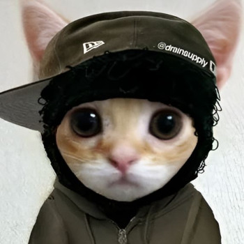 $shysti | Moontok.io 月兔