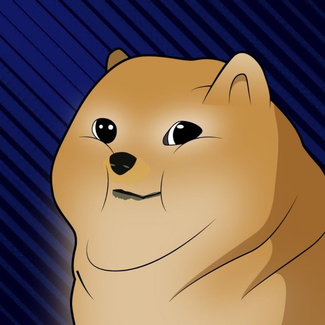 DomsInu (DOMS) | Moontok 月兔