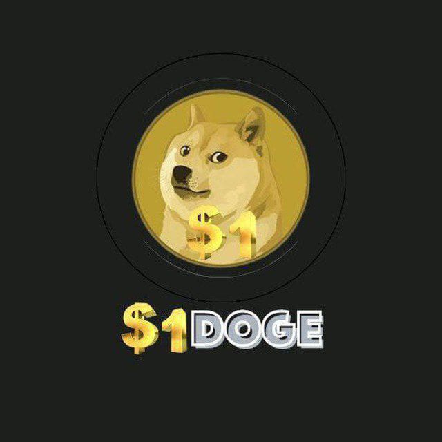 $1 DOGE ($1 DOGE) | Moontok 月兔