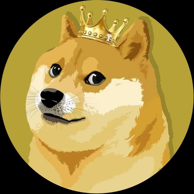 Doge Coin (DOGE) | Moontok 月兔