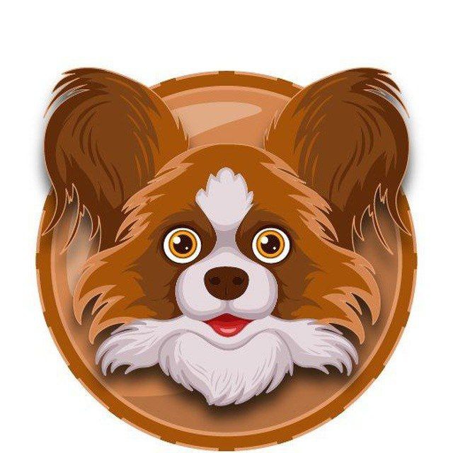 Papillon Token (PAP) | Moontok 月兔