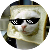 $CATBREAD | Moontok.io 月兔