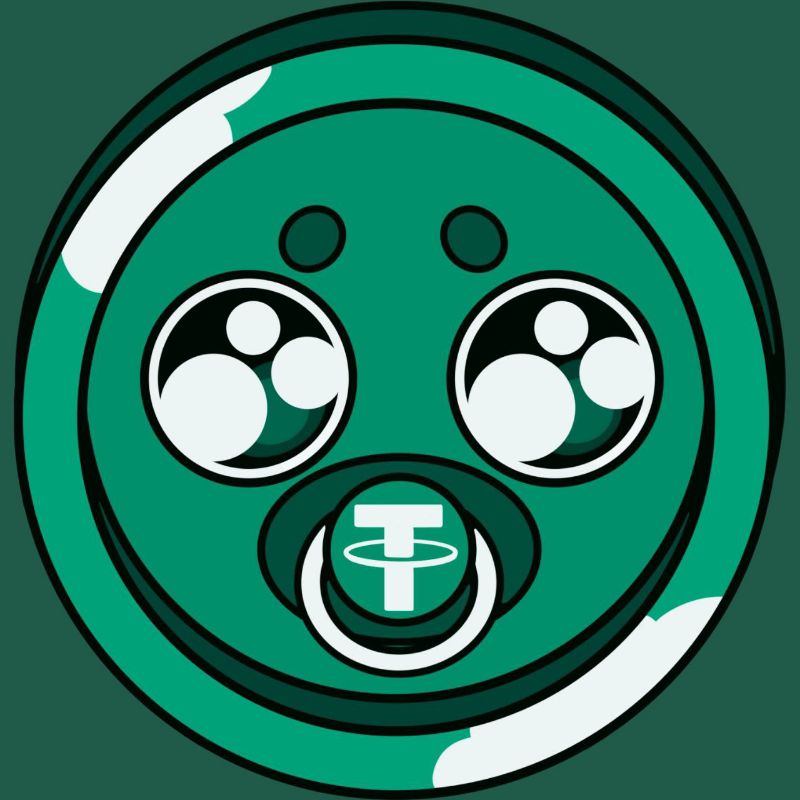 Baby USDT BABYUSDT Moontok 