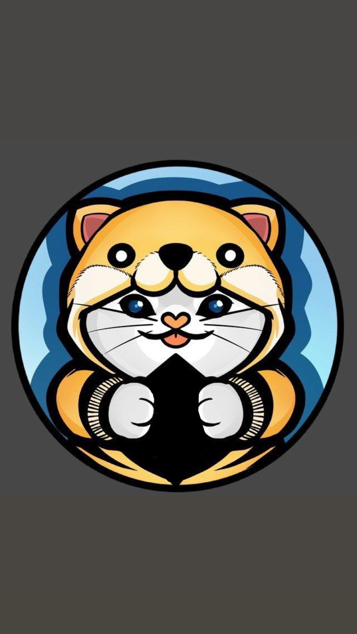 Kitty Doge ($KD) | Moontok 月兔